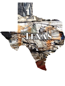 Texas - Interco
